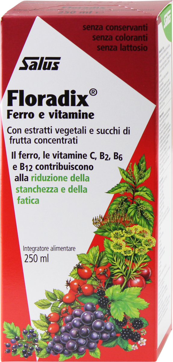 Salus Floradix Sciroppo, 250 ml Acquisti online sempre convenienti | dm ...