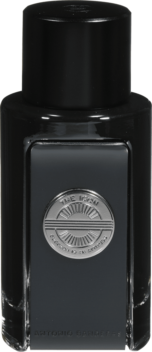 Antonio Banderas The Icon edp, 50 ml | dm.hr