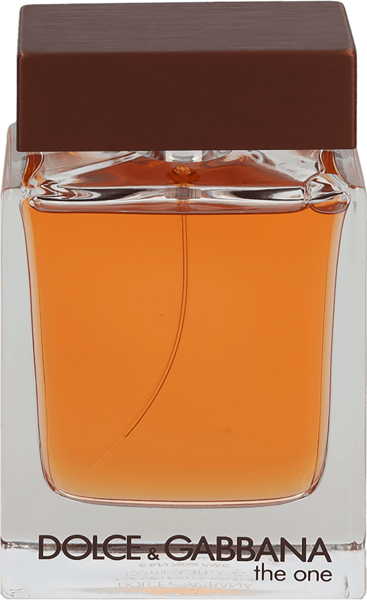 DOLCE&GABBANA pánská EdT the one, 100 ml | dm.cz