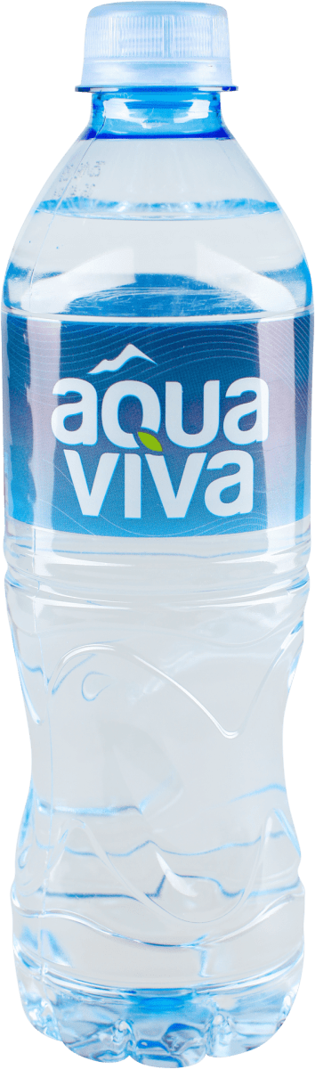 Aqua Viva Negazirana, voda povoljna online kupovina | dm.rs