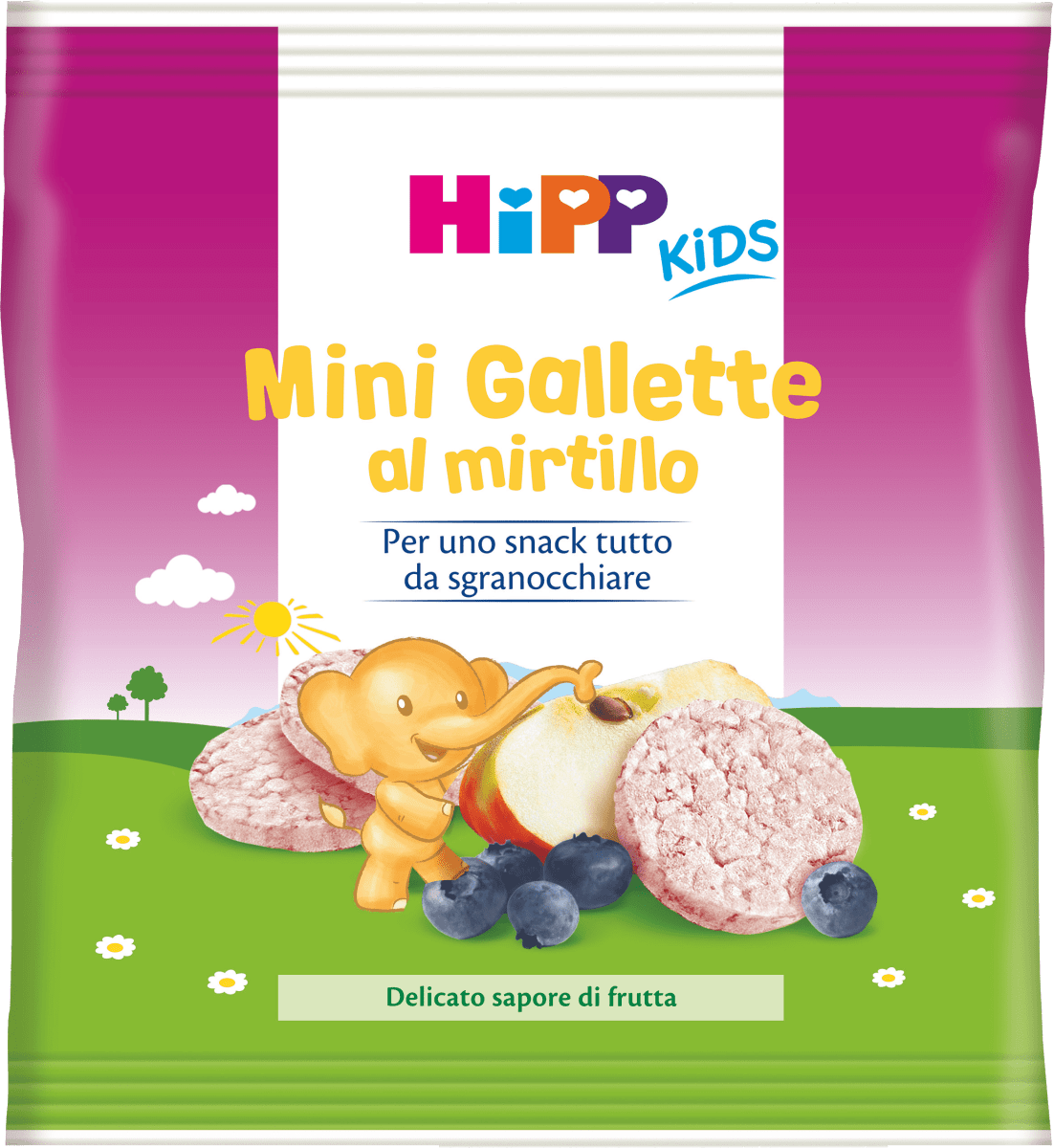 HIPP Mini gallette al mirtillo, 30 g Acquisti online sempre convenienti ...