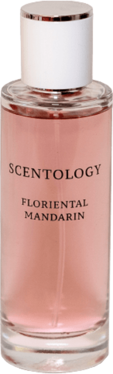 SCENTOLOGY Floriental Mandarin edp, 100 ml povoljna online kupovina | dm.rs