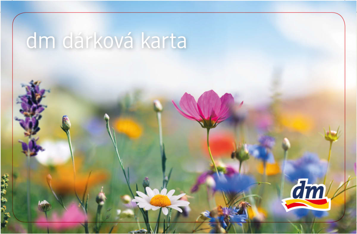 dm dárková karta jaro v hodnotě 1000 Kč, 1 ks | dm.cz