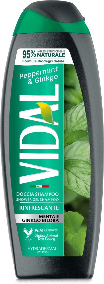 VIDAL Doccia shampoo uomo alla menta e ginkgo, 250 ml | dm Italia