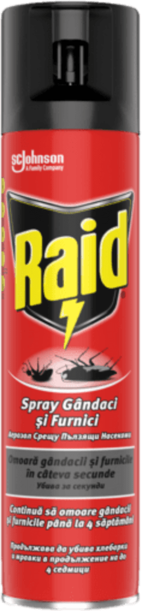 Raid Spray împotriva insectelor târâtoare, 400 ml | dm.ro