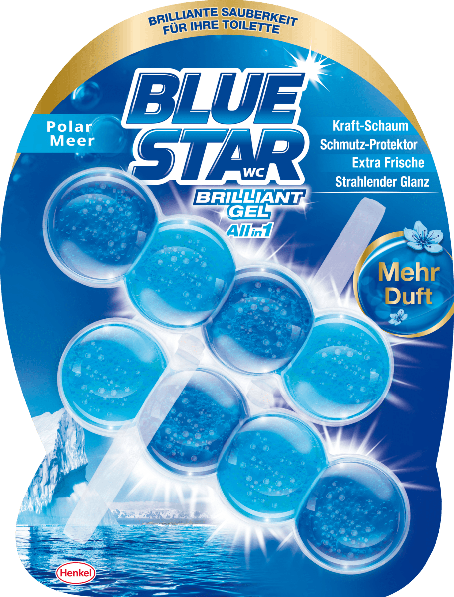 BLUE STAR WC-Stein Brilliant Gel All In 1 Polarmeer, 84 g | dm.at