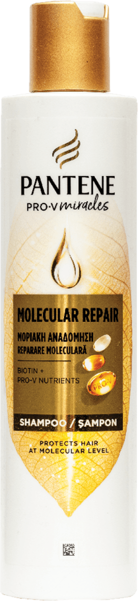 PANTENE PRO-V Molecular Bond Repair šampon za kosu, 250 ml | dm-drogeriemarkt.ba