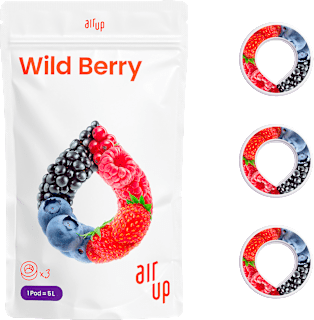 air up Trinkflaschen & Aroma-Pods online kaufen ️ | dm.at