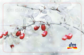 dm dárková karta | dm.cz