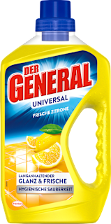 DER GENERAL Allzweckreiniger universal Bergfrühling, 750 ml dauerhaft ...