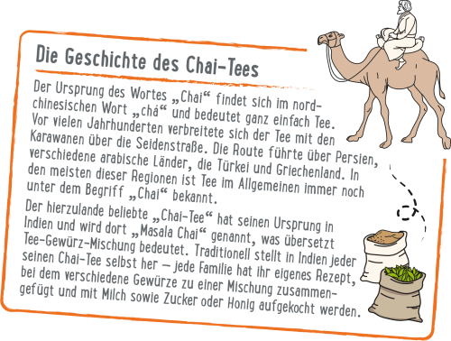 dmBio Gewürztee Chai Tee Klassik (20 Beutel), 40 g dauerhaft günstig ...