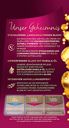 Poly Palette Haare Aufheller 240 pudriges Silberblond, 1 St dauerhaft ...