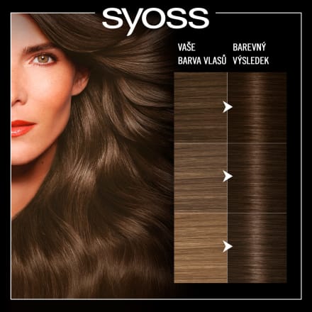 Syoss Oleo Intense barva na vlasy Popelavě světle hnědý, 1 ks | dm.cz