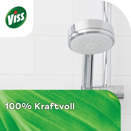 Viss Scheuermilch Original mit Mikro-Kristallen, 500 ml dauerhaft ...