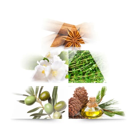 LA RIVE Eau de Parfum Secret of Beauty, 100 ml | dm.at