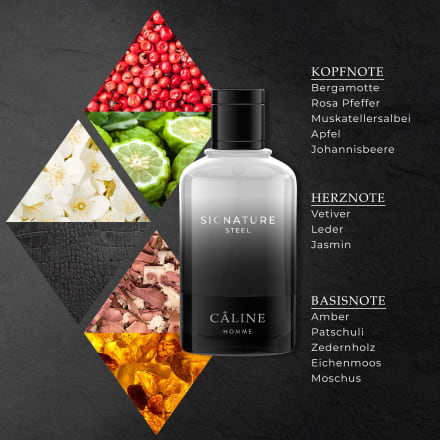 Caline Signature Steel Eau de Toilette, 60 ml dauerhaft günstig online ...