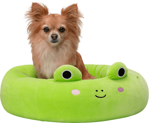 SQUISHMALLOWS Krevet za životinje žaba – Wendy, S, 1 kom. | dm.hr