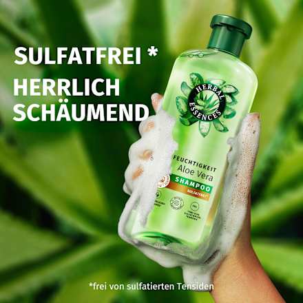 Shampoo Feuchtigkeit Aloe Vera 350 ml