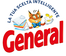 DER GENERAL Allzweckreiniger universal Bergfrühling, 750 ml dauerhaft ...