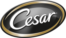 Cesar Cibo umido per cani con manzo e pollo Ricette Classiche, 150 g ...