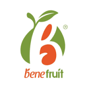 Bene Fruit Suhi mango, 100 g | dm.si